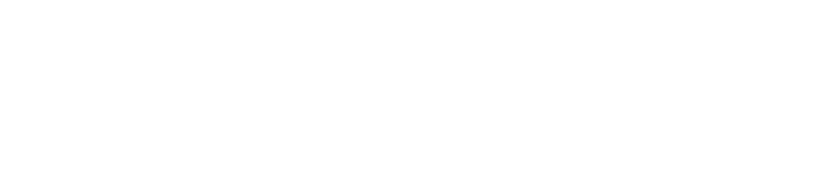 OptiFlo S saline 0.9% catheter maintenance solution-100 ML - Patient ...